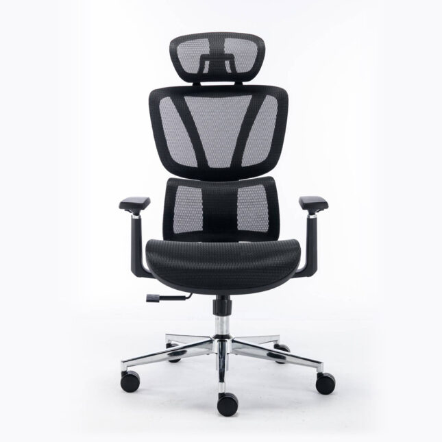 Saltburn Elite Mesh Office Chair - Black | Assmebly Required | Oak World
