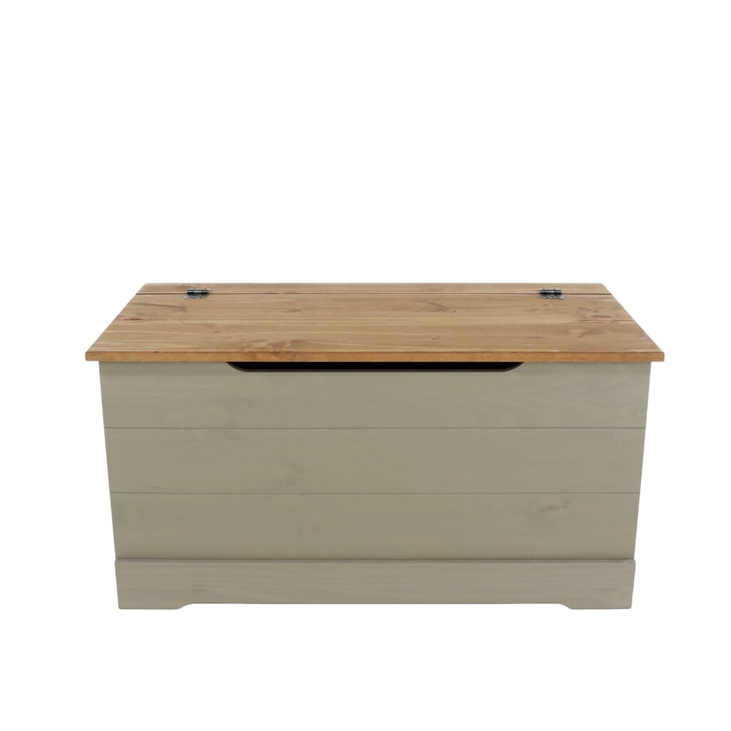Azusa Grey storage trunk | Oak World